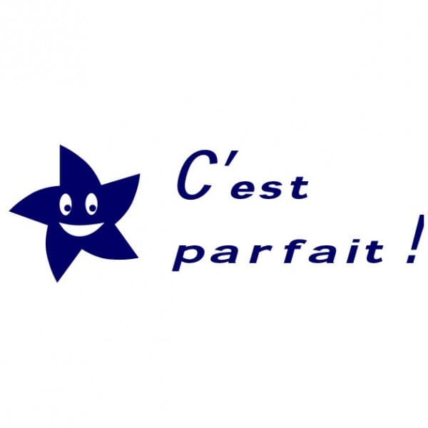 Trodat Printy 4910 - C'est parfait ! | getstamps.ca